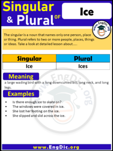 Ice plural Archives - EngDic