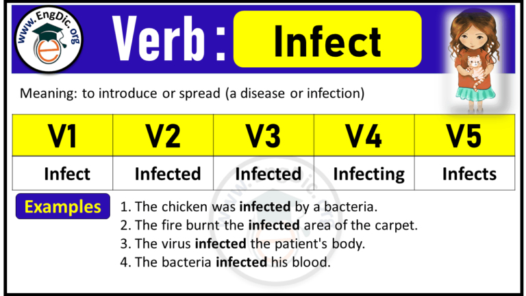 Infect Verb Forms: Past Tense and Past Participle (V1 V2 V3) - EngDic