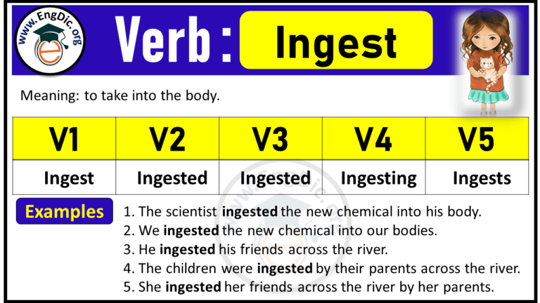 Ingest Verb Forms: Past Tense and Past Participle (V1 V2 V3) - EngDic