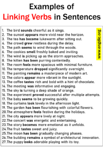 50 Examples of Linking Verbs in Sentences - EngDic