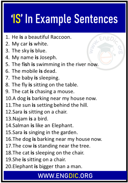 +20 Sentences Using 'IS', IS in Example Sentences - EngDic