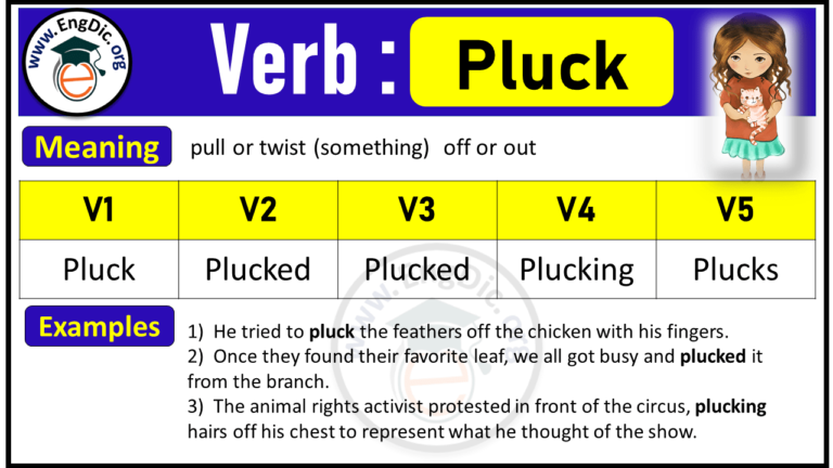 Pluck Verb Forms: Past Tense and Past Participle (V1 V2 V3) - EngDic