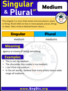 Plural of Party, Singular of Parties, Meaning of Party, synonyms of ...