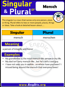 Singular and Plural Noun Rules in English - Grammar - Engdic
