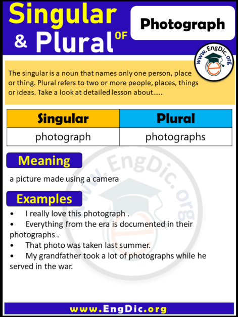 Cat Plural, What is the Plural of Cat? - EngDic