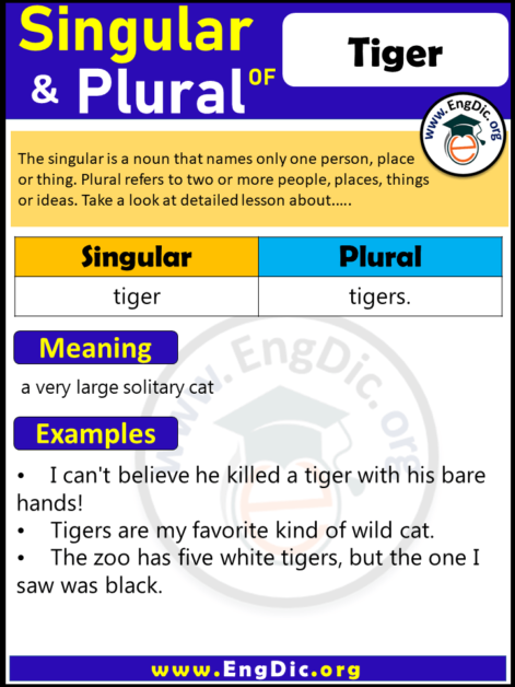Tiger plural Archives - EngDic