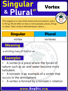 Vortex plural – EngDic