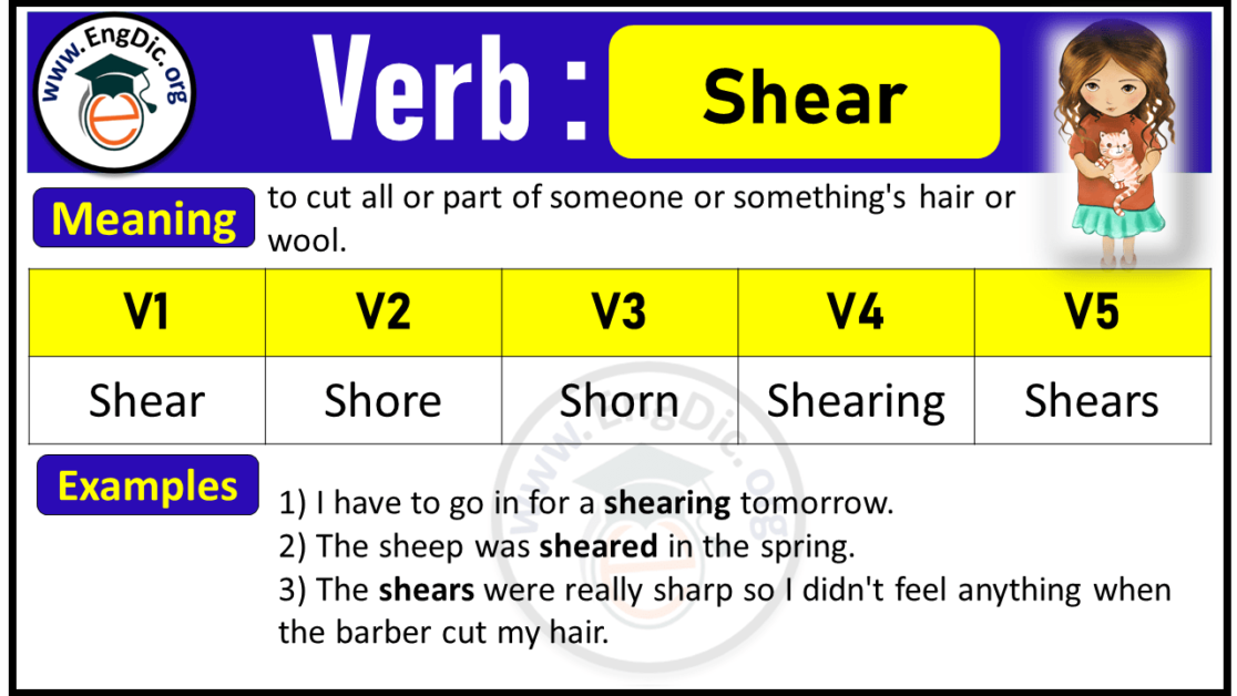 Shear Verb Forms: Past Tense and Past Participle (V1 V2 V3) - EngDic