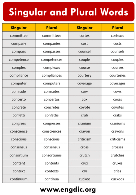 1000+ Singular and Plural Words List A to Z - EngDic