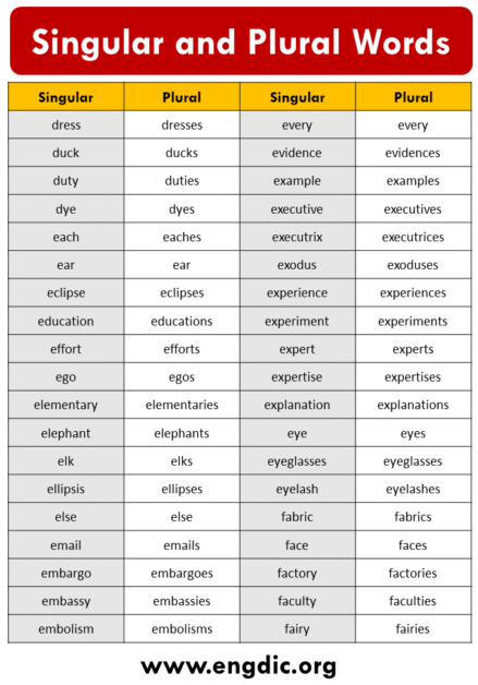 1000+ Singular and Plural Words List A to Z - EngDic