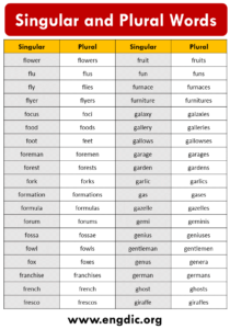 1000+ Singular and Plural Words List A to Z - EngDic