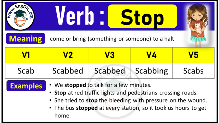 Stop Verb Forms: Past Tense and Past Participle (V1 V2 V3) - EngDic
