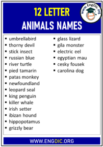 12 Letter Animals Names List - EngDic