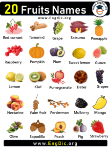 20 Fruits Names List in English - EngDic
