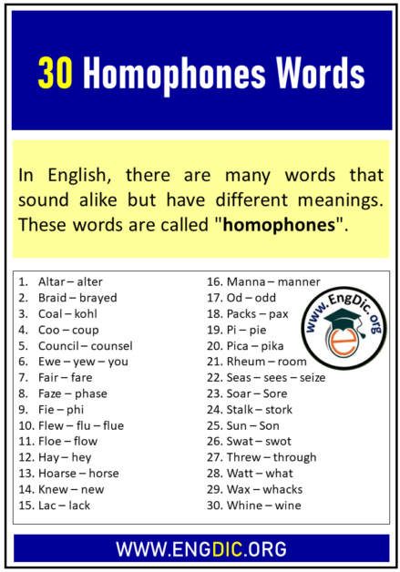 30 Homophones Words List - EngDic