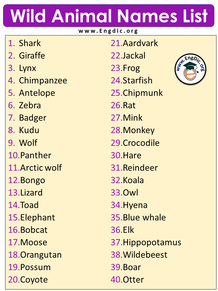 40 Wild Animal Names List In English EngDic 40 Wild Animal Names List In English EngDic