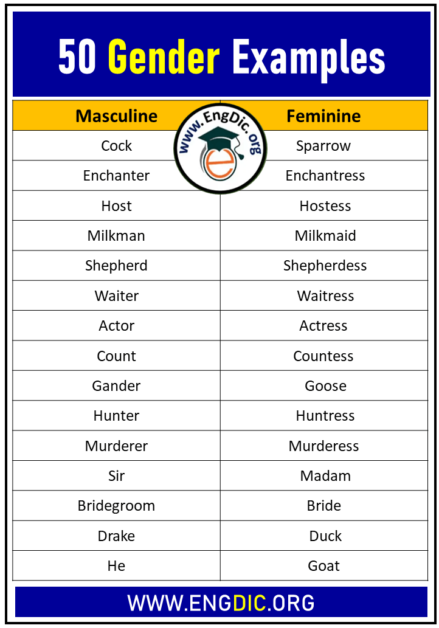 50 Gender Examples in English (Masculine & Feminine) - EngDic