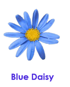 10 Blue Flowers names with Pictures, Flower Names - EngDic