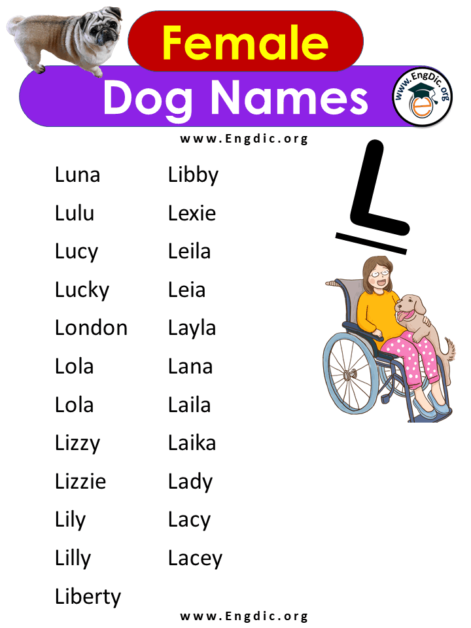 500+ Most Popular Girl Dog Names, A-Z Female Dog Names - EngDic