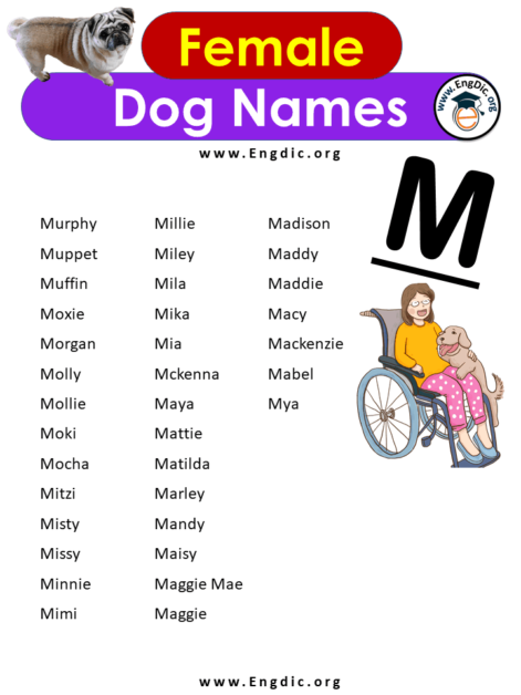 500+ Most Popular Girl Dog Names, A-Z Female Dog Names - EngDic