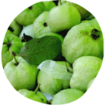 42 Best Green Fruits Names List with Pictures & Benefits - EngDic