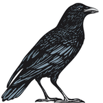 Sounds of Birds in English – List of Birds Cries - EngDic