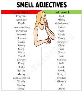 Adjective of Smell, Good and Bad Smell Adjectives - EngDic
