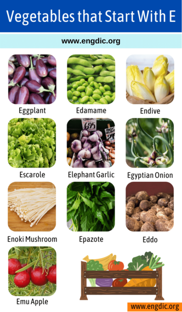 List of Vegetables That Start With E - EngDic