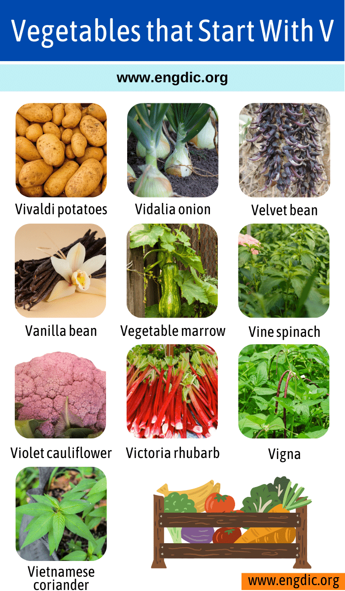 V Is For Vegetables Letra V Verduras Logo Vector Vector Premium