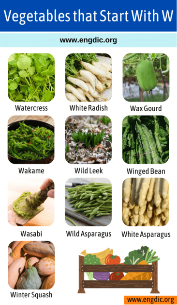 List of Vegetables That Start With W - EngDic