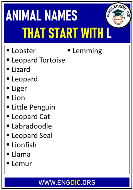 90+ Animals That Start with L | Animal Names That Starts with L - EngDic