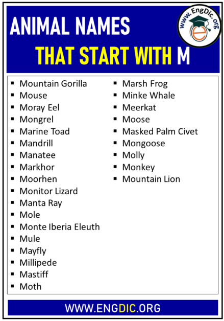 150+ Animals That Start with M | Animal Names That Starts with M - EngDic