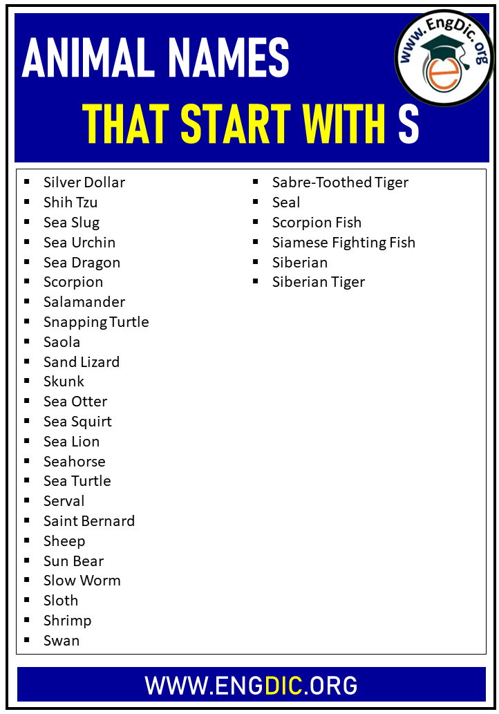 Animal Names That Starts With S EngDic