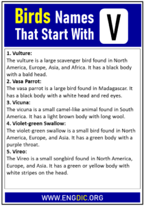 Birds Names that Start With V - EngDic