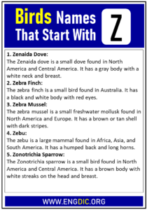 Birds Names that Start With Z - EngDic