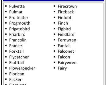 Birds Names that Start With F - EngDic