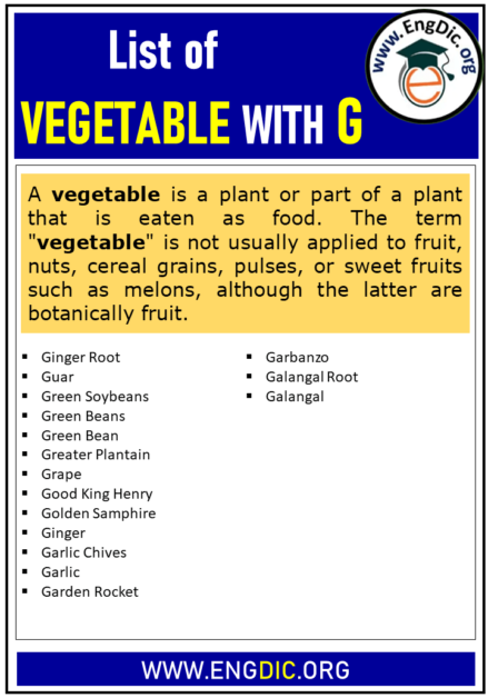 List of Vegetables That Start With G - EngDic
