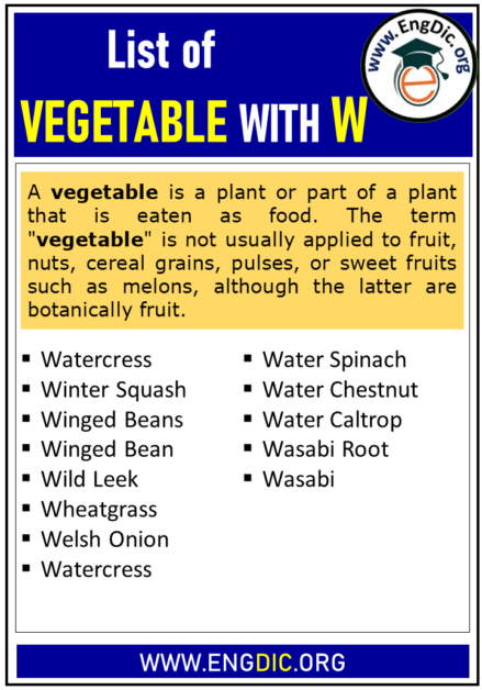 List of Vegetables That Start With W - EngDic
