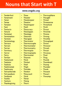 405+ Nouns That Start with T (All Types and Pictures) - EngDic