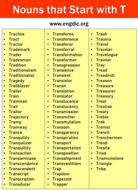 405+ Nouns That Start with T (All Types and Pictures) - EngDic