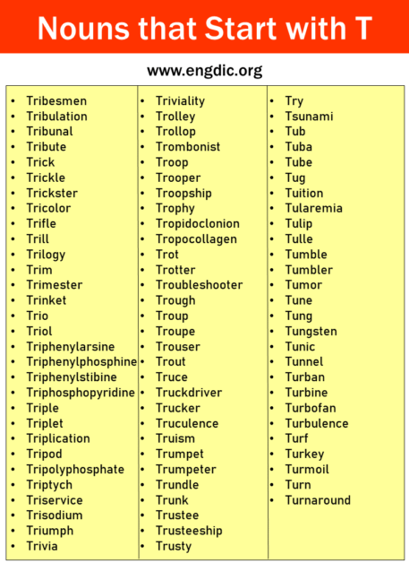405+ Nouns That Start with T (All Types and Pictures) - EngDic