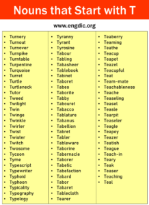 405+ Nouns That Start with T (All Types and Pictures) - EngDic