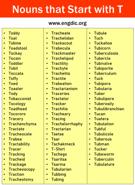 405+ Nouns That Start with T (All Types and Pictures) - EngDic