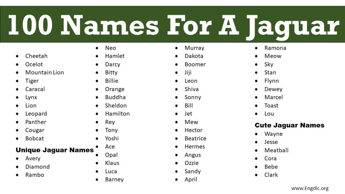 200+ Best Jaguar Names (Male, Female, Baby ) - EngDic
