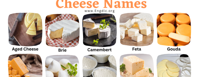 EngDic - Page 527 of 1049 - English as a Second Language