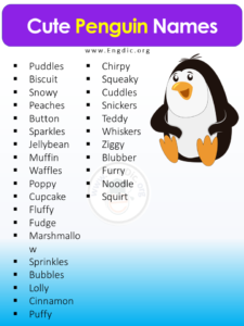 350+ Most Popular Penguin Names (Cute and Funny) - EngDic