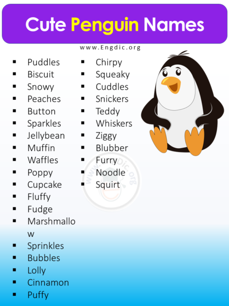 350+ Most Popular Penguin Names (Cute and Funny) - EngDic