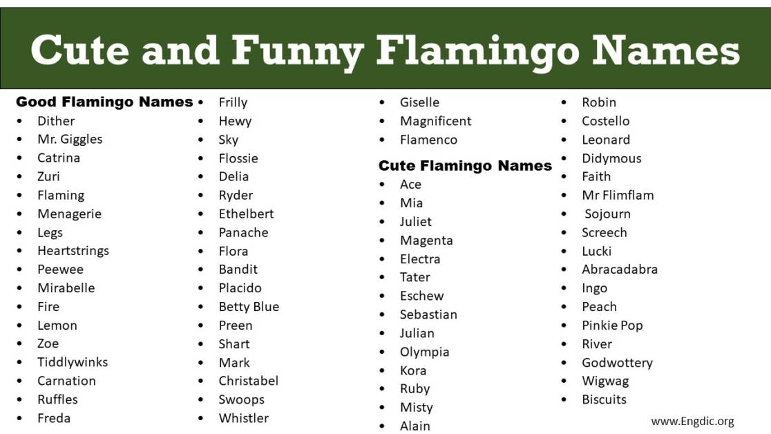 500+ Best & Creative Flamingo Names (Cool, Cute & Funny) - EngDic