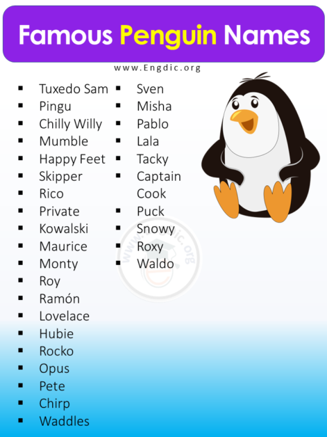 350+ Most Popular Penguin Names (Cute and Funny) - EngDic