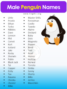 350+ Most Popular Penguin Names (Cute and Funny) - EngDic